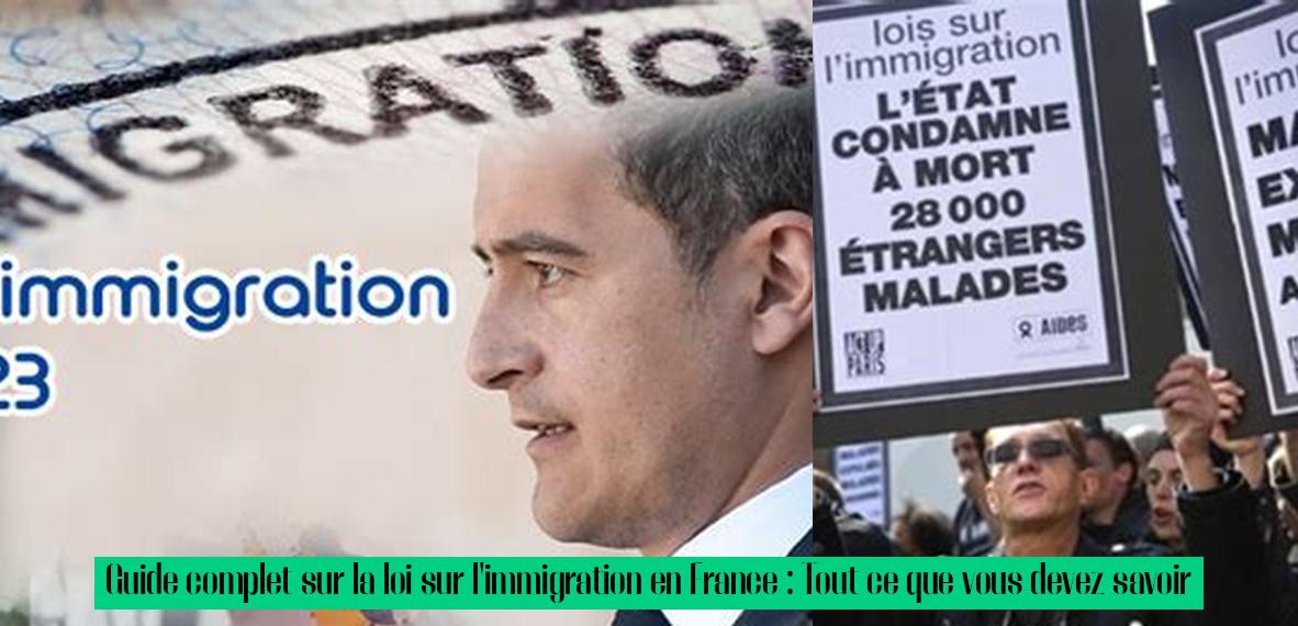 Guide complet sur la loi sur l'immigration en France : Tout ce que vous ...